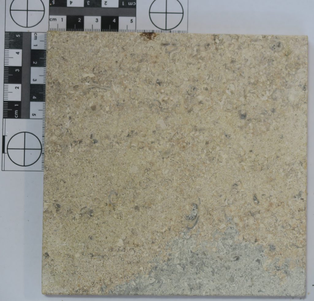 Intro: Ancaster Limestone (B8) – Stone Library