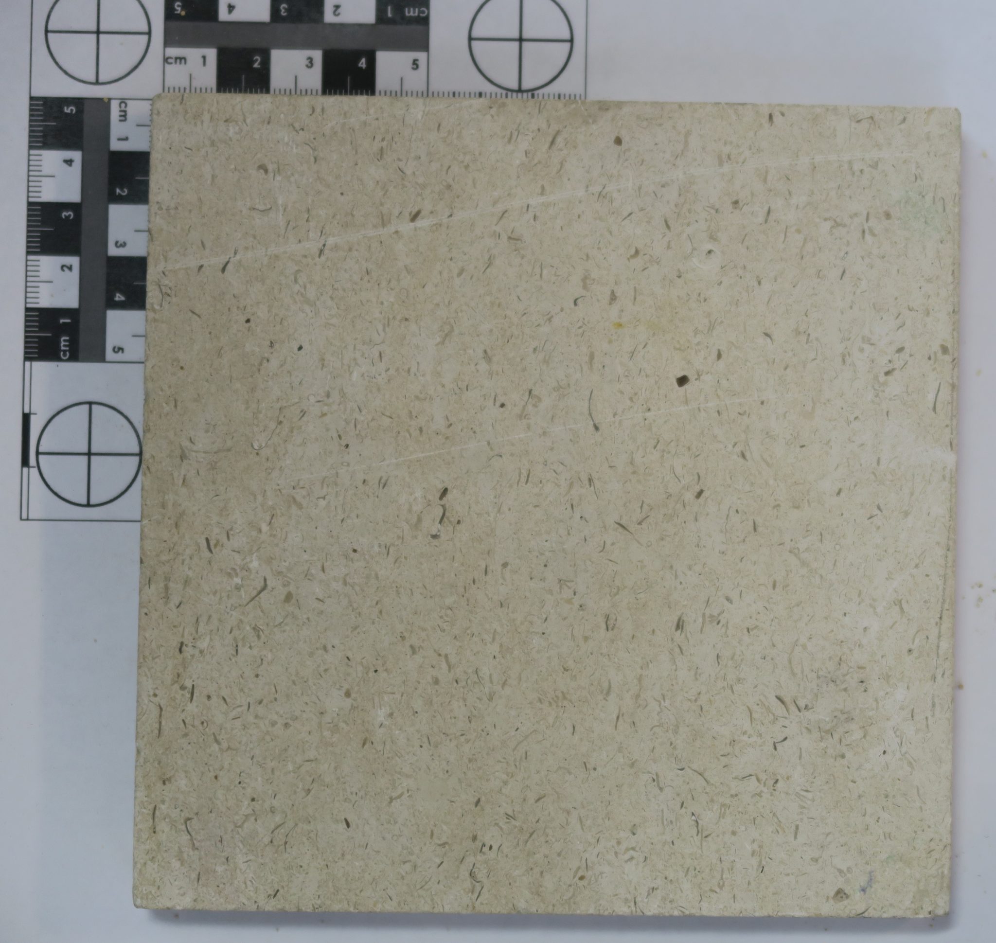 Intro: Portland Limestone (C2) Bowers Base bed – Stone Library