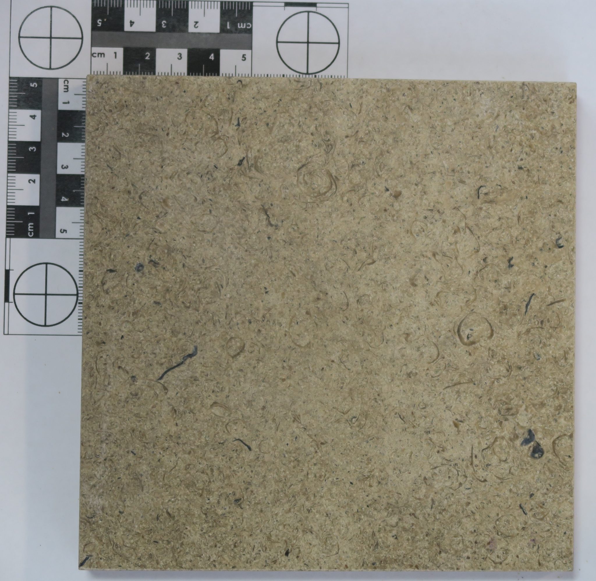 Intro: Purbeck Cap (D5) Limestone | Stone Library