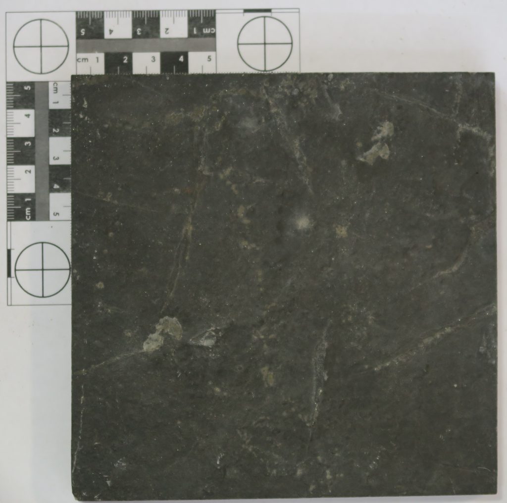 Intro: Caithness Stone flags (E3) – Stone Library