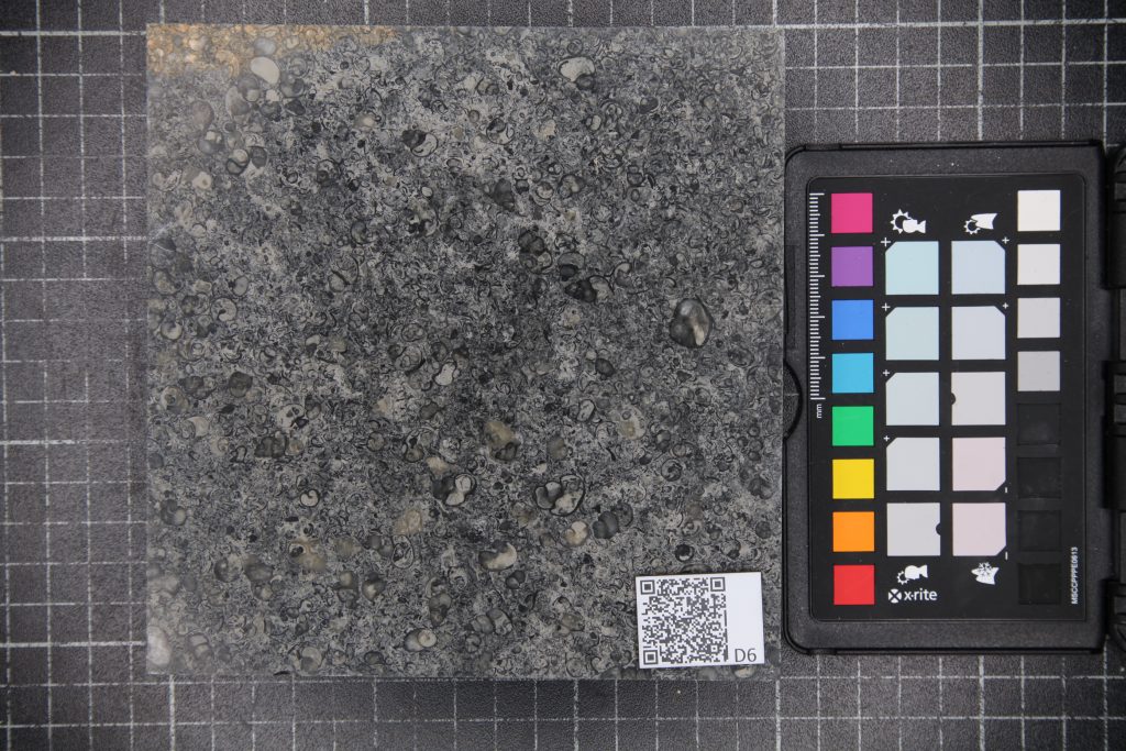 Intro: Purbeck Marble (D6) | Stone Library
