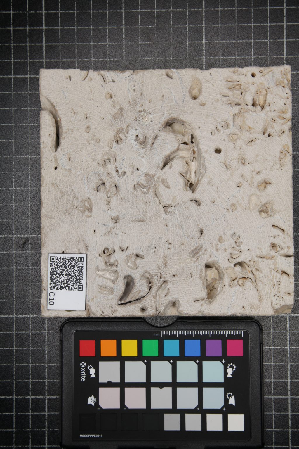 Intro: Portland Limestone (C10) Roach | Stone Library